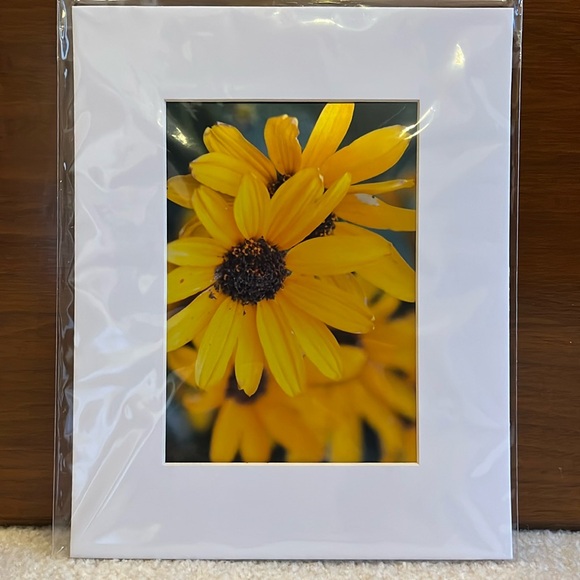 Wall Decor | Flower Print Mat | Poshmark